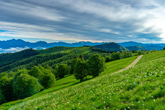 "Prato Fiorito"-Bilder: Stock-Fotos & -Videos. | Adobe Stock