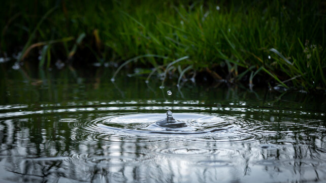 "Kropla Wody" Images – Parcourir 88 le catalogue de photos, vecteurs et ...