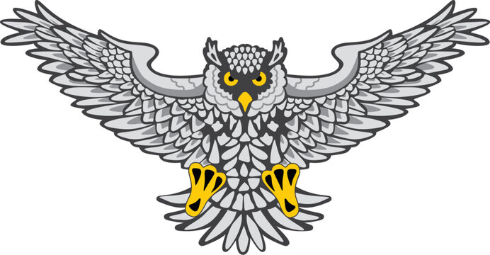 Imágenes de "Owl Drawing": descubre bancos de fotos, ilustraciones ...