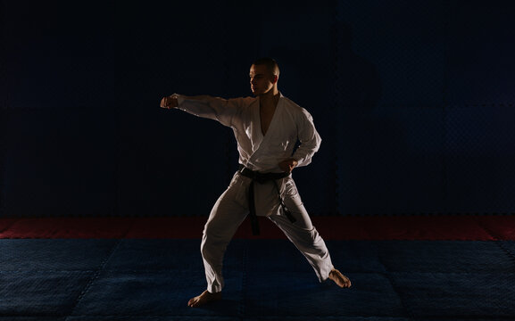 「Choku-Zuki」の写真素材 | 108件の無料イラスト画像 | Adobe Stock