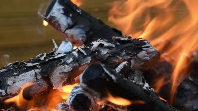 "Log Log"-Bilder: Stock-Fotos & -Videos. | Adobe Stock