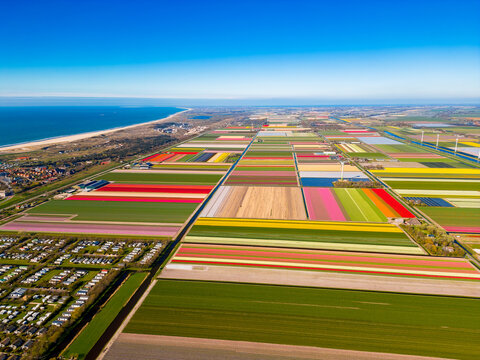 「Petten」の写真素材 | 446件の無料イラスト画像 | Adobe Stock