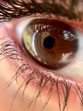 "Square Eyes"-Bilder: Stock-Fotos & -Videos. | Adobe Stock