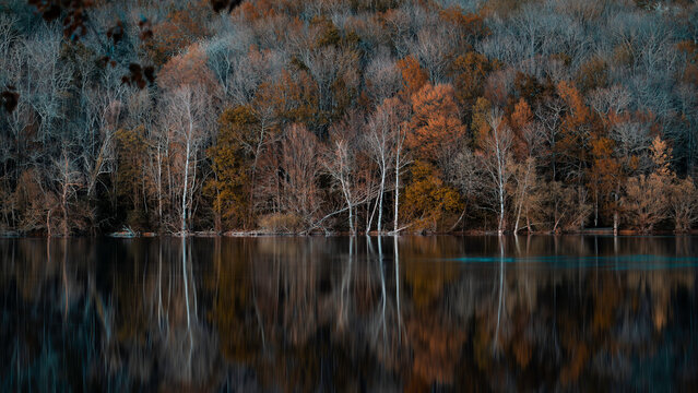 Madiran Bilder – Durchsuchen 84 Archivfotos, Vektorgrafiken und Videos | Adobe Stock