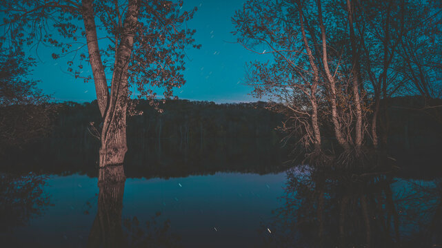 Madiran Bilder – Durchsuchen 84 Archivfotos, Vektorgrafiken und Videos | Adobe Stock