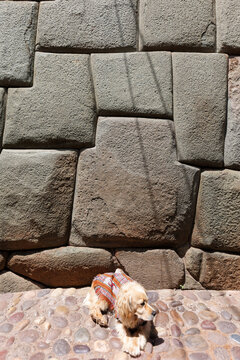 「Inkamauer」の写真素材 | 29件の無料イラスト画像 | Adobe Stock