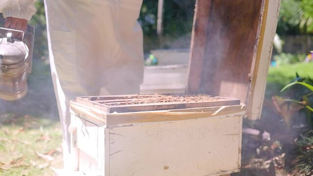 Bee-Garden Images – Browse 2,141 Stock Photos, Vectors, and Video ...