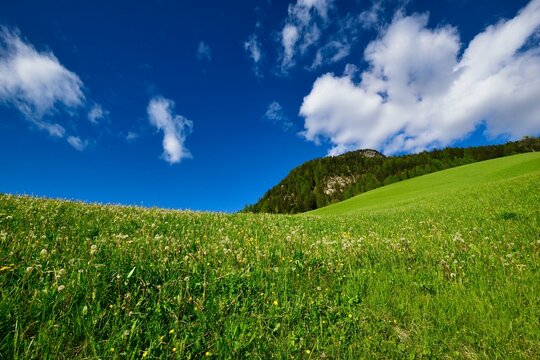 "Windows Background"-Bilder: Stock-Fotos & -Videos. | Adobe Stock