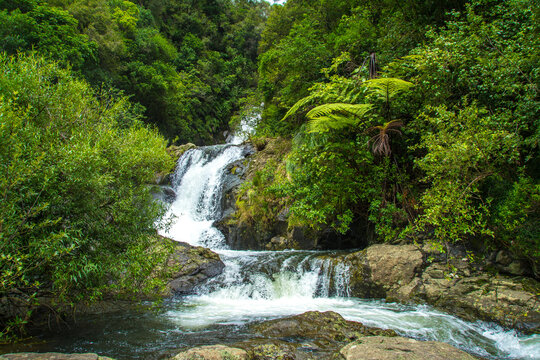 Kaiate Images – Browse 53 Stock Photos, Vectors, and Video | Adobe Stock