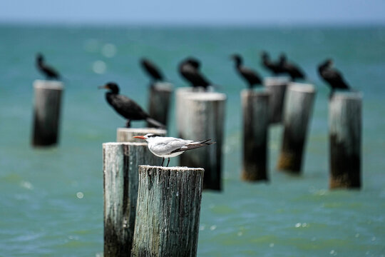 Bernie Duhamel photos, images, assets | Adobe Stock