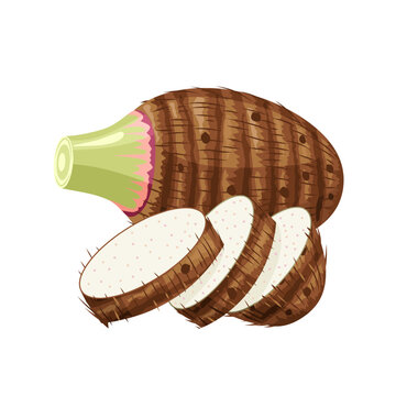 Afbeeldingen over "Taro Corm" – Blader in stockfoto's, vectoren en ...