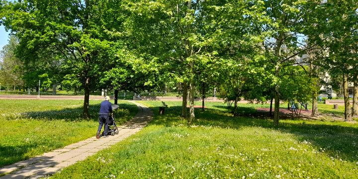 Gianchetti Bilder – Durchsuchen 5,145 Archivfotos, Vektorgrafiken und ...