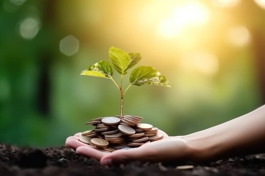 Plant Growth Hand Images – Browse 360,633 Stock Photos, Vectors, and ...