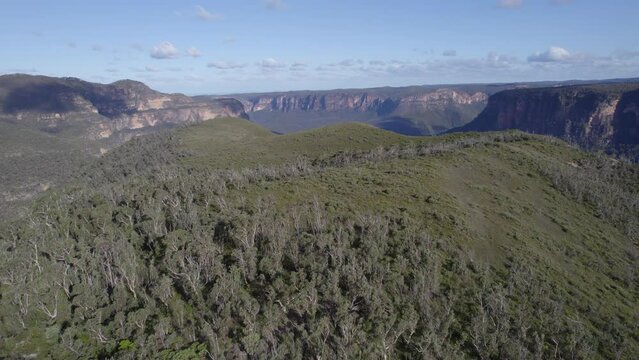 Grose Images – Browse 391 Stock Photos, Vectors, and Video | Adobe Stock