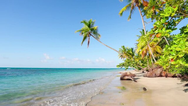 "Island Top View" Images – Browse 977 Stock Photos, Vectors, and Video ...