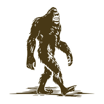 รูปภาพYetti – เลือกดูภาพถ่ายสต็อก เวกเตอร์ และวิดีโอ21,650 | Adobe Stock