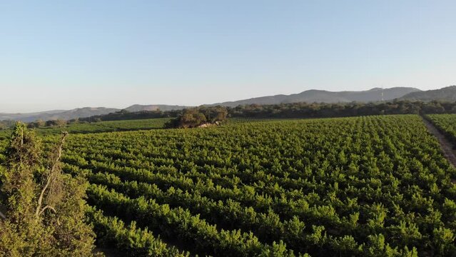 Nelspruit Images – Browse 390 Stock Photos, Vectors, and Video | Adobe ...