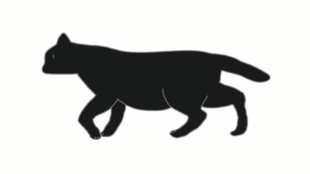 "Bush Cat" Images – Browse 46,829 Stock Photos, Vectors, and Video ...