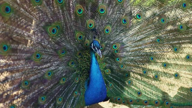 "Life Force" Images – Browse 2,402 Stock Photos, Vectors, and Video ...