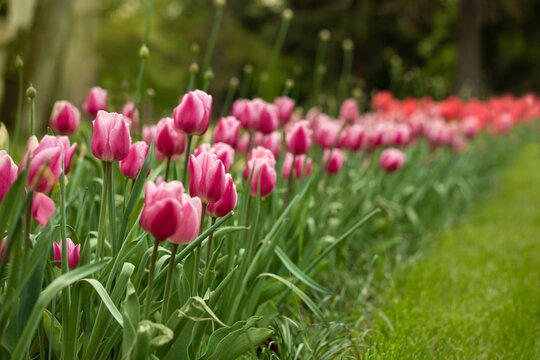 meegi photos, images, assets | Adobe Stock