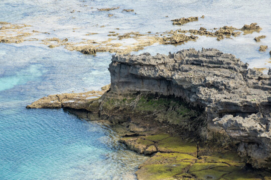 Ryukyu 이미지 – 찾아보기 3,707 스톡 사진, 벡터 및 비디오 | Adobe Stock