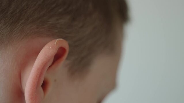 รูปภาพReacts – เลือกดูภาพถ่ายสต็อก เวกเตอร์ และวิดีโอ32,062 | Adobe Stock