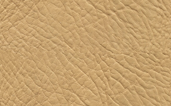 Ockerfarben Bilder – Durchsuchen 51,728 Archivfotos, Vektorgrafiken und ...