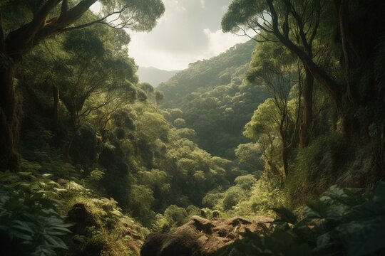 รูปภาพColossal – เลือกดูภาพถ่ายสต็อก เวกเตอร์ และวิดีโอ43,893 | Adobe Stock