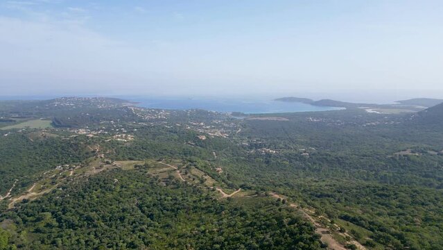 Lecci Images – Browse 175 Stock Photos, Vectors, and Video | Adobe Stock