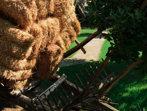 "Hay Rick" Images – Browse 35 Stock Photos, Vectors, and Video | Adobe ...