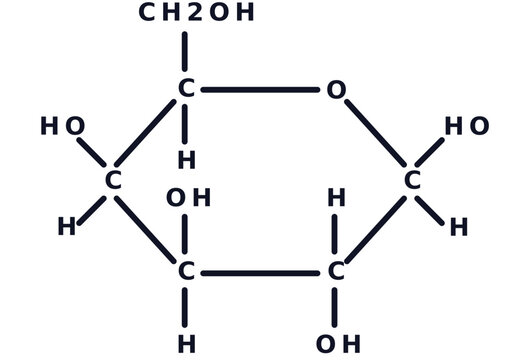 Carbohydrate Diagram Structure