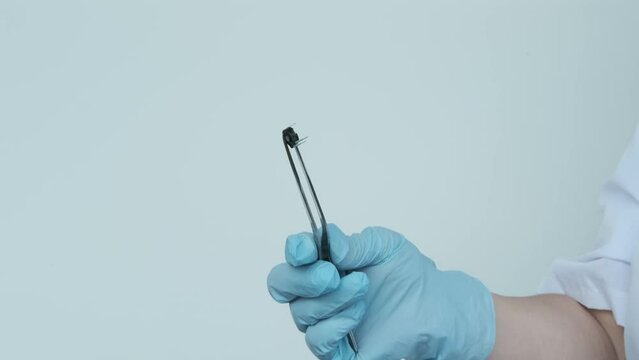 Imágenes de Biochip: descubre bancos de fotos, ilustraciones, vectores ...