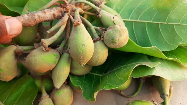 Vippa Images – Browse 54 Stock Photos, Vectors, and Video | Adobe Stock