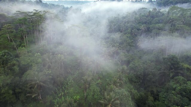 "High Humidity" Images – Browse 862 Stock Photos, Vectors, and Video ...