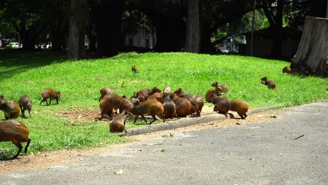 รูปภาพSereque – เลือกดูภาพถ่ายสต็อก เวกเตอร์ และวิดีโอ1,698 | Adobe Stock