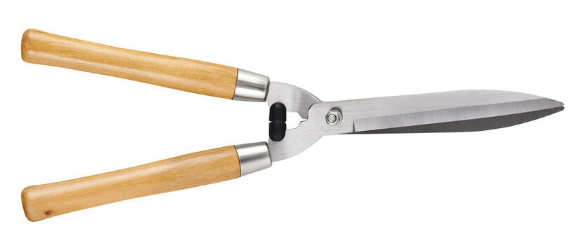 Secateurs Background Images – Browse 16,842 Stock Photos, Vectors, and ...