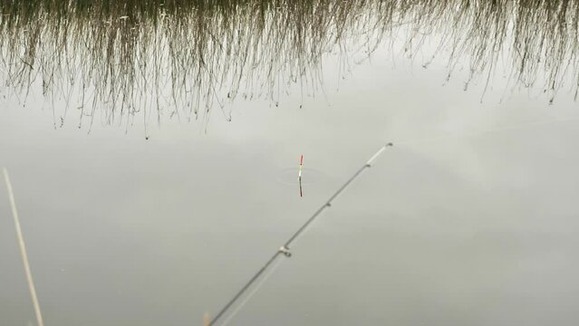 "Fish Bite" Images – Browse 499 Stock Photos, Vectors, and Video ...