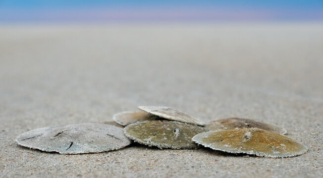 Guy Bryant photos, images, assets | Adobe Stock