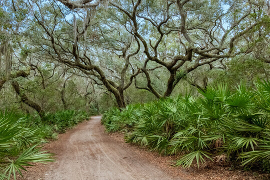 Guy Bryant photos, images, assets | Adobe Stock