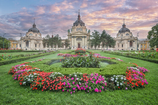 Rabatten bilder – Bläddra bland 479,427 stockfoton, vektorer och videor ...