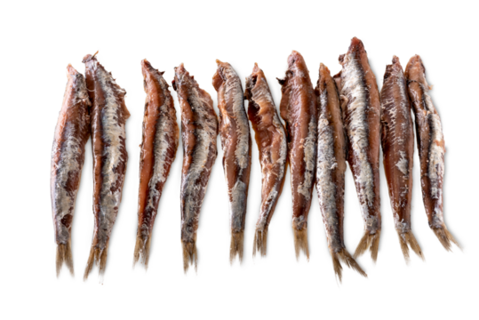 Anchovy Filet PNGs – Transparent Background Images | PikWizard