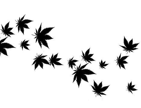 「Cannabies」の写真素材 | 55件の無料イラスト画像 | Adobe Stock
