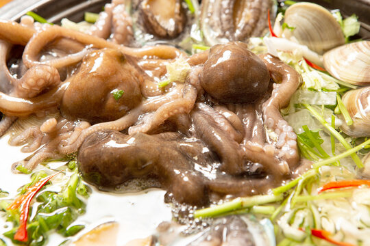 "Octopus Soup" Bilder – Durchsuchen 139 Archivfotos, Vektorgrafiken und ...