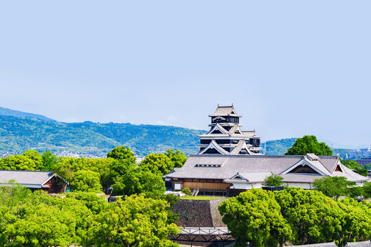 被写体 Images – Browse 855 Stock Photos, Vectors, and Video | Adobe Stock