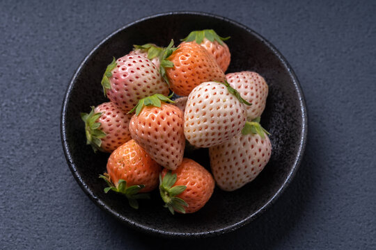 Catamite bilder – Bläddra bland 1,274 stockfoton, vektorer och videor ...