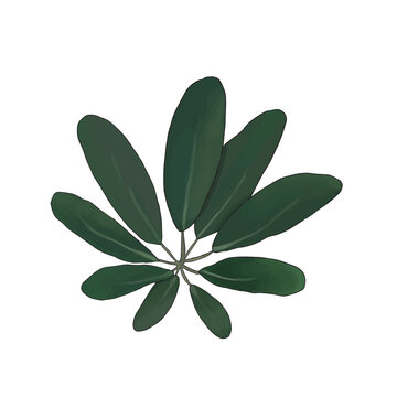 รูปภาพRumdul – เลือกดูภาพถ่ายสต็อก เวกเตอร์ และวิดีโอ388 | Adobe Stock