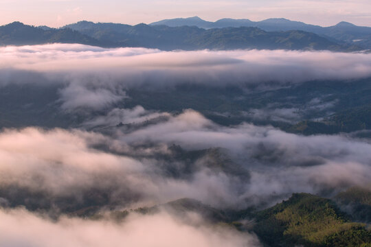 Batong Images – Browse 19 Stock Photos, Vectors, and Video | Adobe Stock