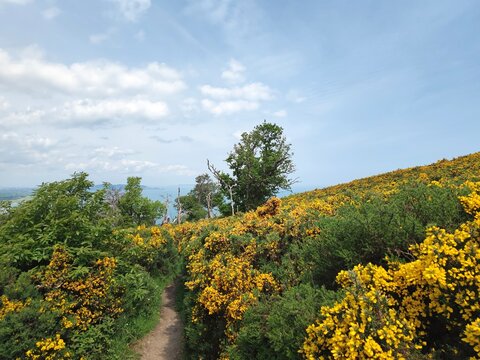 Sandweg Images – Browse 1,170 Stock Photos, Vectors, and Video | Adobe ...