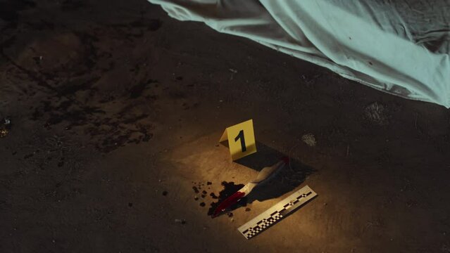 Forensic Ruler Images – Browse 385 Stock Photos, Vectors, and Video ...