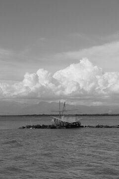 Retone Images – Browse 30 Stock Photos, Vectors, and Video | Adobe Stock